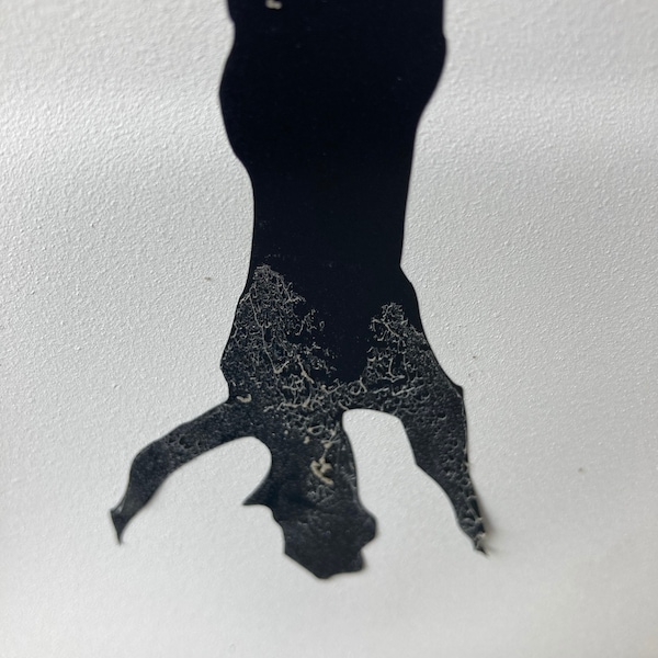 Wile E. Coyote Splat Image in Road Runner Decal - Etsy