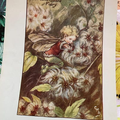 Flower Fairies: the GERANIUM FAIRY Vintage Print C1930 by Cicely Mary ...