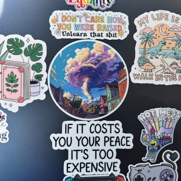 Potato Chips Vinyl Sticker | Bag of Chips Sticker | Cute Food Sticker ...