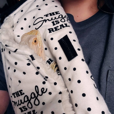 Bearded Dragon/lizard Reclining Chair, Hammocks, Sugar Glider Pouches ...