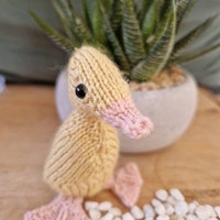 KNITTING PATTERN - NEW Lucky Duckling - Etsy Canada