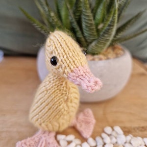 KNITTING PATTERN NEW Lucky Duckling (Instant Download) - Etsy