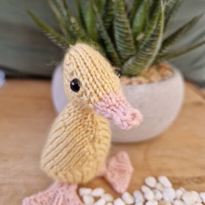 KNITTING PATTERN NEW Lucky Duckling (Instant Download) - Etsy