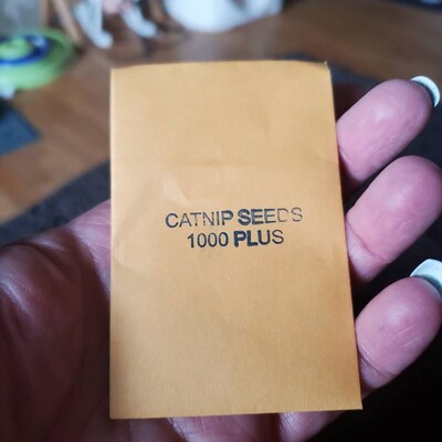 Infinity Heart Vinyl Decal Car Window - Etsy