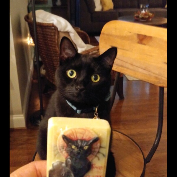 Fan Soaps in Gift Box - Etsy