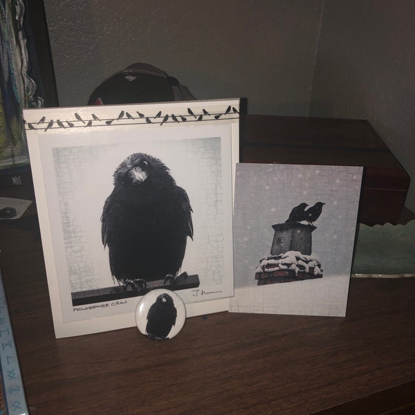 PHILOSOPHER CROW Signed Fine Art Photograph by June Hunter, Crow ...