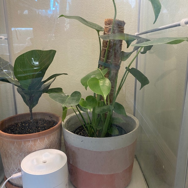 8 Inch Pot - Pink Pot - Pink Planter - Large Planter - Planter Pot ...