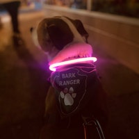 Bark Ranger Dog Bandana - Etsy