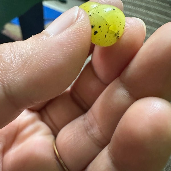 Artificial Barbed Wire - Ribbon Trim Real Leather Cord for Party Home ...