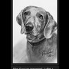 Custom Pet Portrait Charcoal Custom Dog Portrait Pet Commission Custom ...