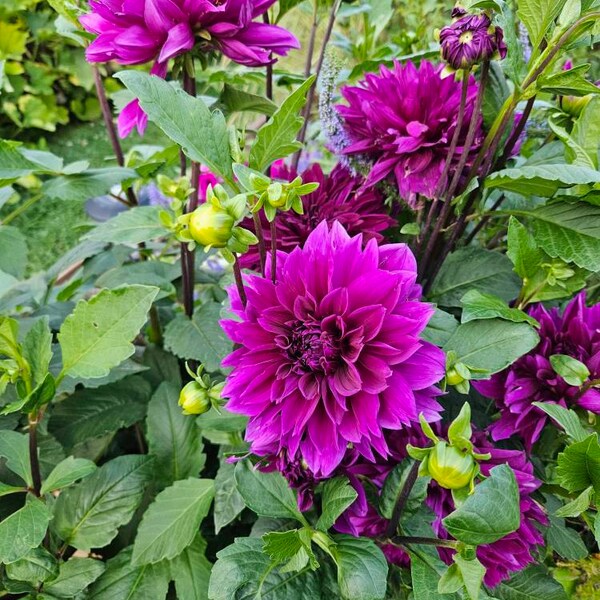 Water Scrying Divination Service - Etsy