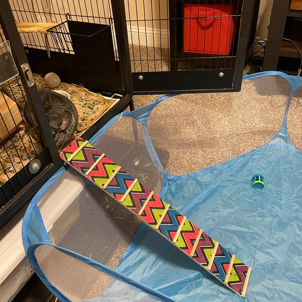 Guinea Pig Cage Ramp, Small Animal Ramp, Guinea Pig Ramps, Pet Ramps ...