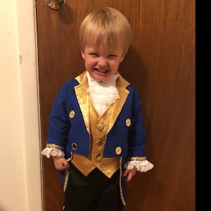 Beast Costume BLUE Tuxedo Jacket Prince Costume Tailcoat Beauty and the ...