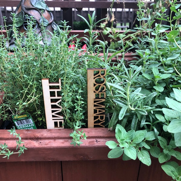 Plant Labels SOLID WOOD - Etsy