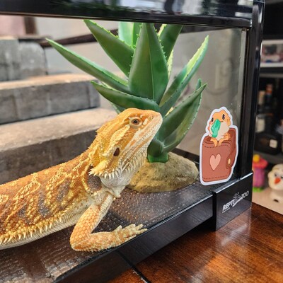 Boa Constrictor Bubble Gum Sticker - Etsy