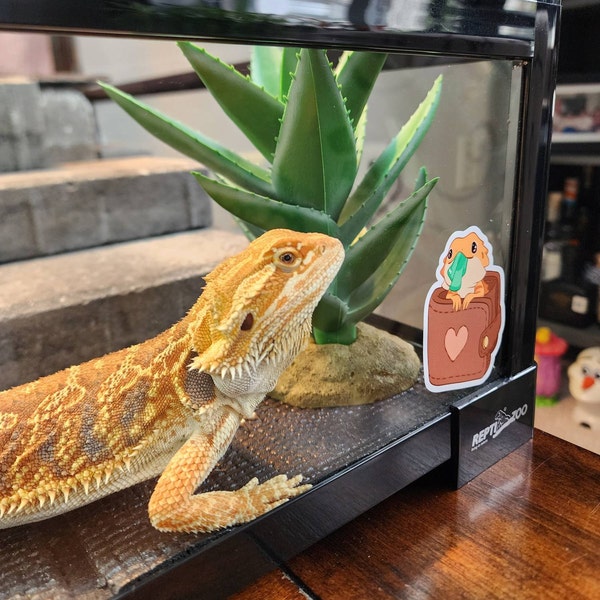 Bearded Dragon Money Thief Sticker - Etsy