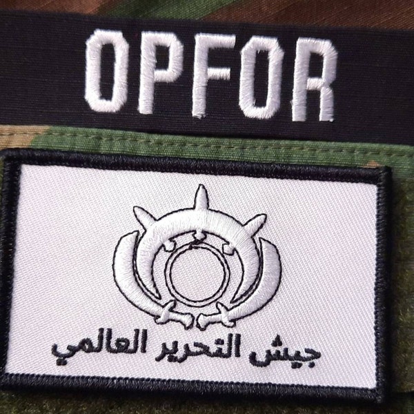 Command and Conquer Generals: Zero Hour, Global Liberation Army (GLA ...