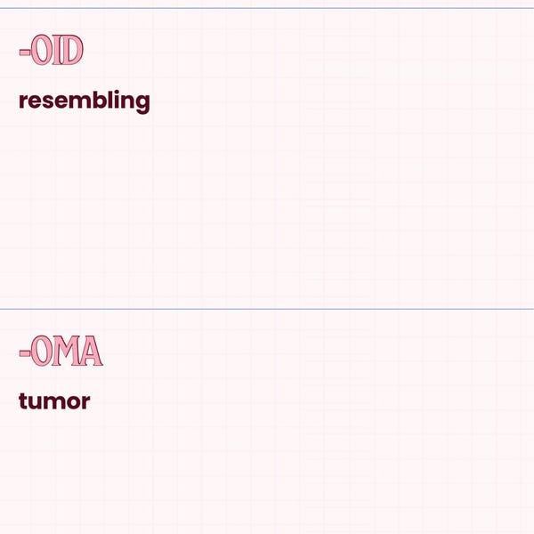 Medical Assistant Book, CMA, MA Notes, Study Guide PDF - Etsy