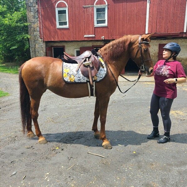 Custom Boot Bag - Green Lemons and Bees Floral - Etsy