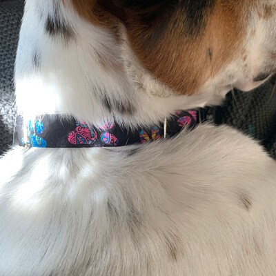 BREAKAWAY Dog Collar Choose Any Print Optional Personalized - Etsy