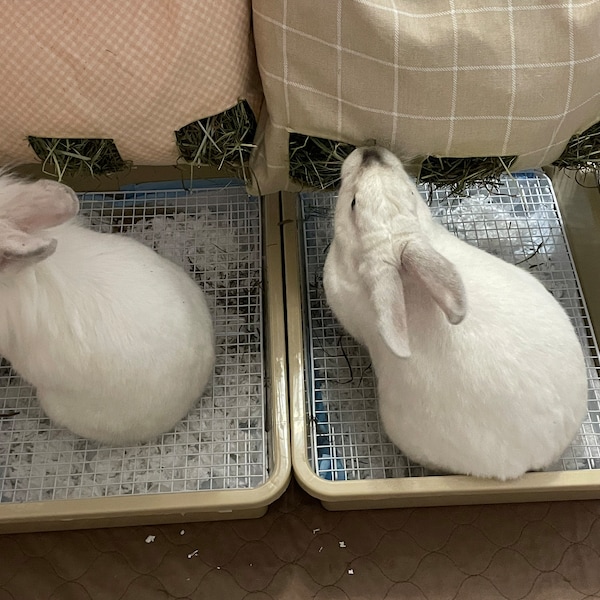 Scatterless Litter Box With Grids Wood Hay Feeder Food Stand 3 in 1 for ...