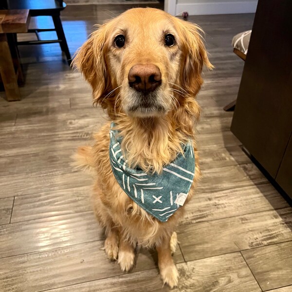 The Loop Di Doo - Pet Waste Bag Holder, Poop Loop, Dog Bag Carrier - Etsy