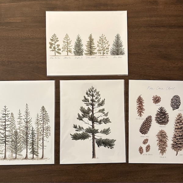 Pine Cone Chart Print - Watercolor Pine Cones, Pine Cones, Nature Print ...