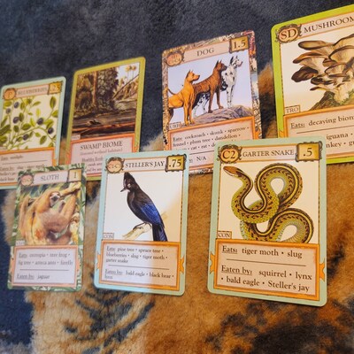 Ecologies: Hidden Habitats Gameplay Inspired by Nature Sequel and ...