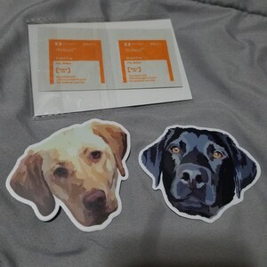 Pothos SVG File Digital Download for Cricut Silhouette Etc. | Etsy