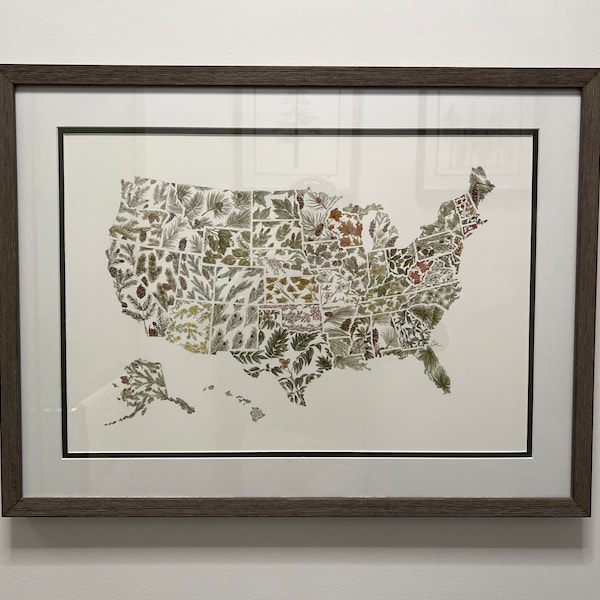 United States Tree Map - State Trees Print, State Trees, Watercolor Map ...