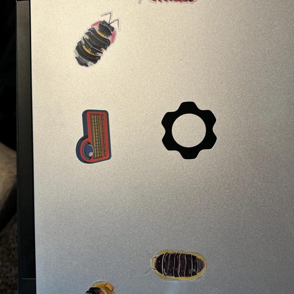 Insect Print of Dragonfly Watercolor Illustration, Insect Taxidermy ...