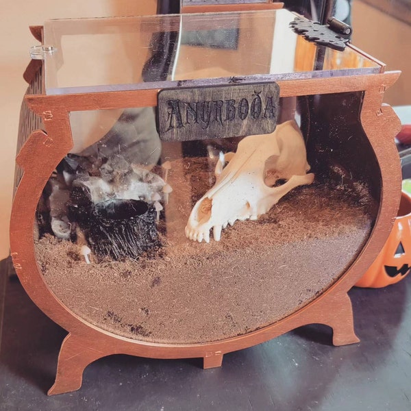 Jumping Spider Enclosure. Small Cauldron Acrylic Glass Enclosure for ...