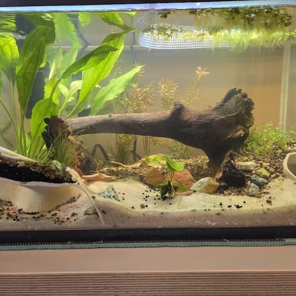 Corner Aquarium Terrarium Cave Hideout – Decorative Shelter for Fish ...