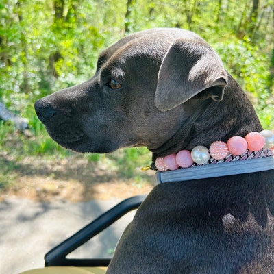 Flamingo Floaty Pool Party Beaded Dog Collar, Collar, Dog Collar, Dog ...