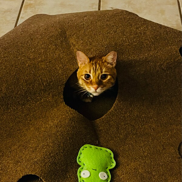 Kuchi Kopi Catnip Toy bobs Burgers - Etsy