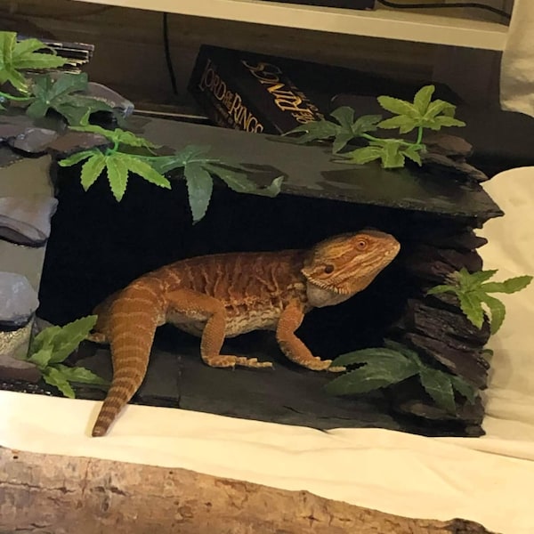 Bearded Dragon Natural Slate Hide With Basking Spot Prefect for Basking ...