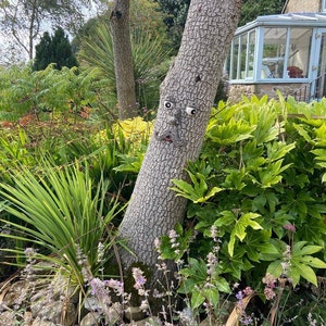 Willy the Tree Face. Funny Faces for Trees. Outdoor Sculpture - Etsy