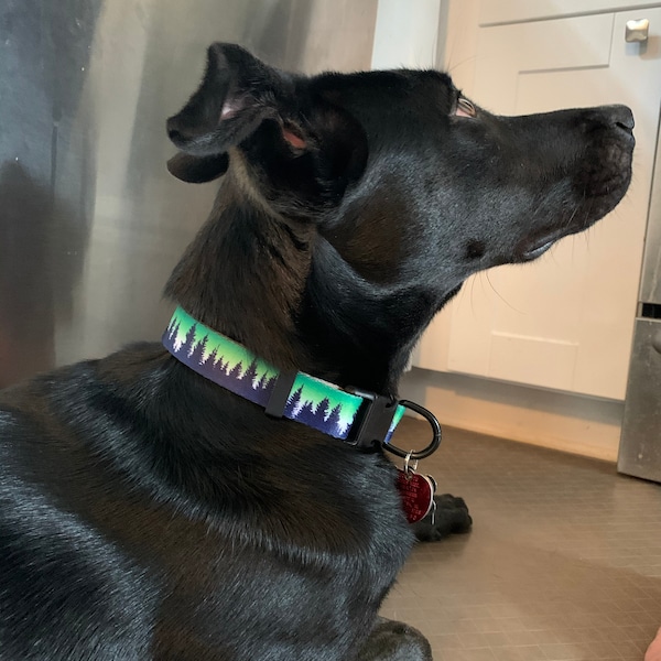 Treeline Dog Collar - Trees | Forest | Nature | Outdoors - Etsy