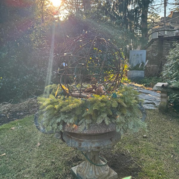 Wrought Iron 12" Garden Sphere, Metal Plant Climber, Vegetable Garden ...