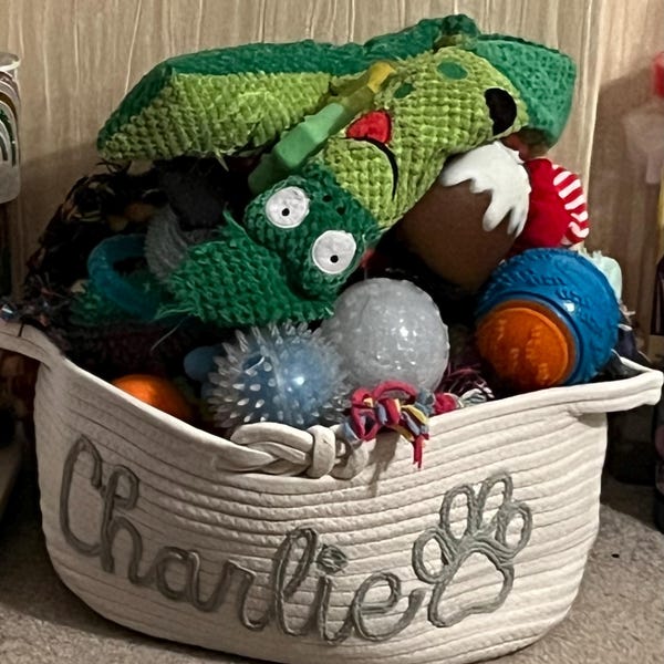 Custom Toy Basket, Baby Shower Gifts, Kids Gifts, Nursery Decor, Gifts ...