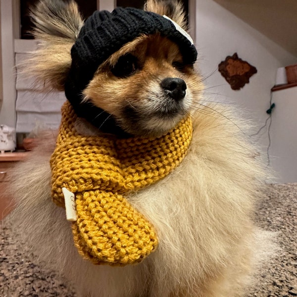 Ribbed Cuff Beanie, S-L, Dog Beanie, Dog Hat, Pet Outdoor, Pet Clothing ...