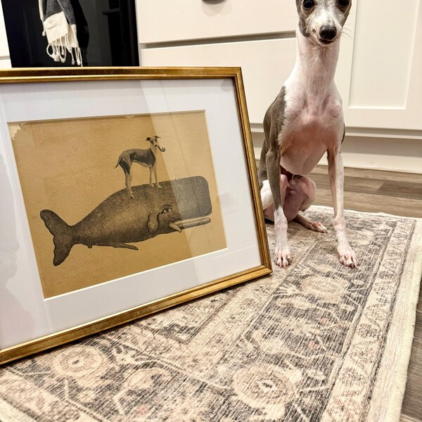 Greyhound Riding Whale Vintage Collage Art Print on Tea Stained Paper ...