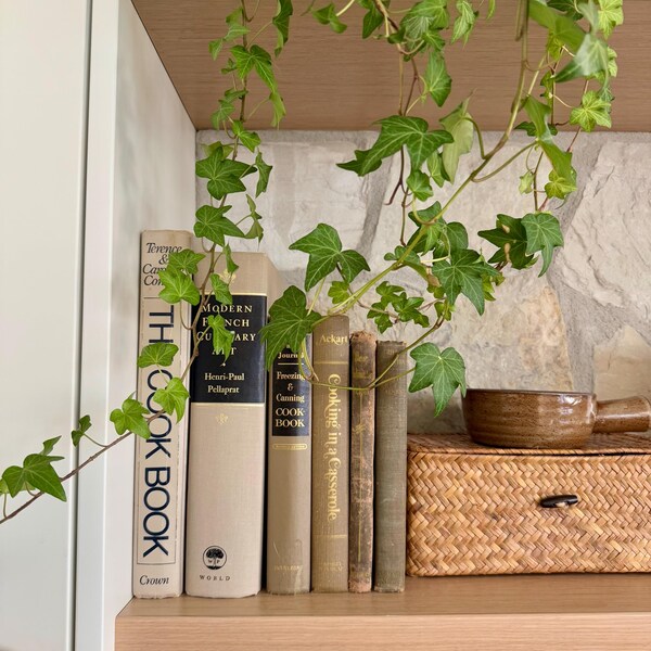 Modern Dark Green Books Set, REAL Interior Decorator Books With Green ...