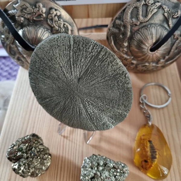 Scorpion Amber Keychain, Scorpion Keychain, Scorpion, Backpack Keychain ...