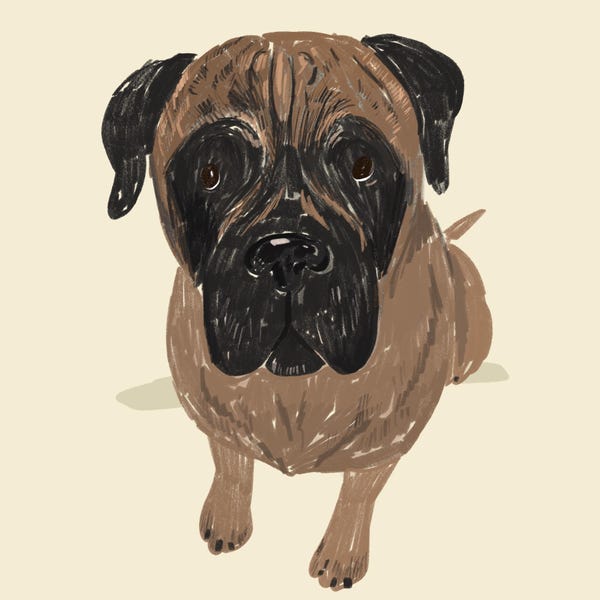 Pink Dnd Character Sheet Girly Dnd Dungeons and Dragons Character ...