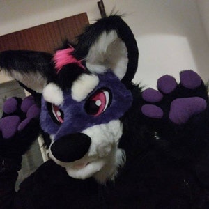 Fennec Fox Fursuit Partial, Fox Fursuit Head, Premade Fursuit - Etsy