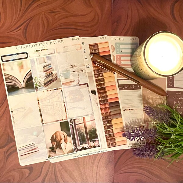 10 Page Budget Bundle for Planners, Savings Tracking Stickers, 750 ...