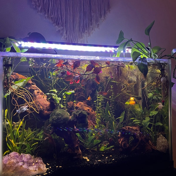 Hygger Advanced Light Riser, Attractive Stable Elevated Stand, Quality ...