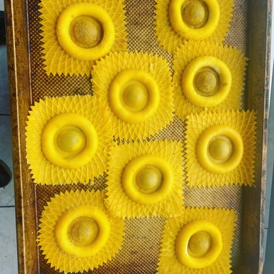 Raviolo Gourmet 7cm Mod. FLOWER Beech Mold for Pasta Fresca. Size 8x8 ...