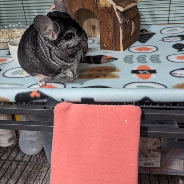 Ramp Covers ONLY for Wire Ramps | Fleece Ramp Covers | Nonslip off ...